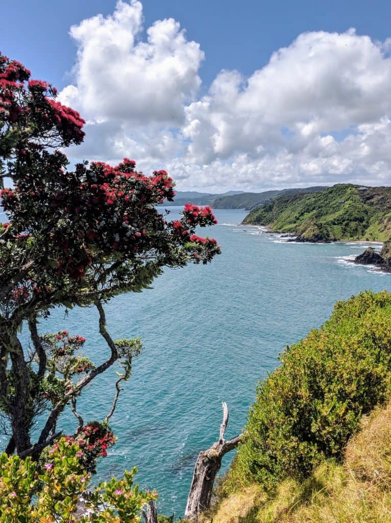Hawke's Bay guide - New Zealand wine route | Wine Scribes
