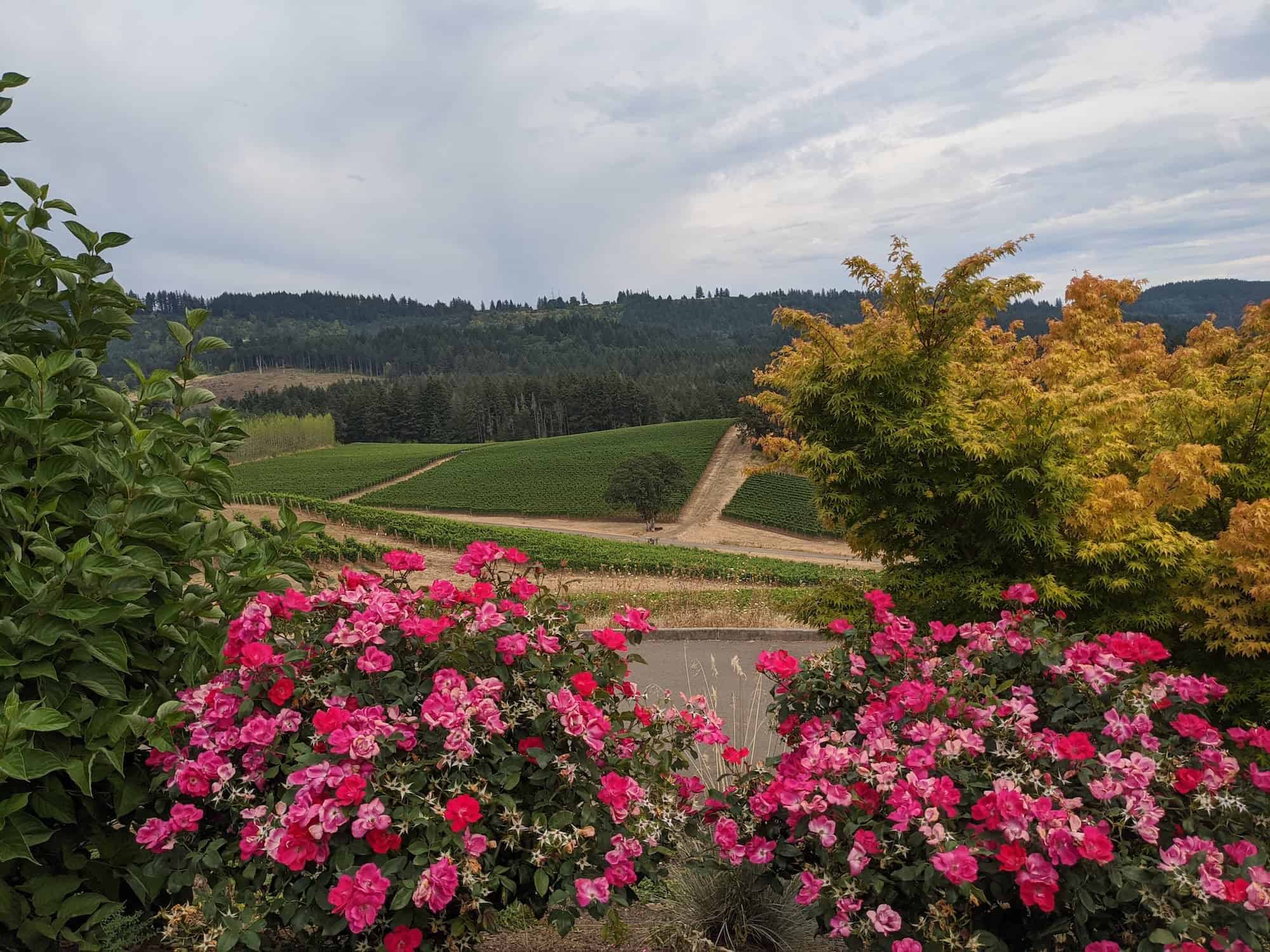 Eola-Amity Hills Wineries (2026) | Wine Scribes