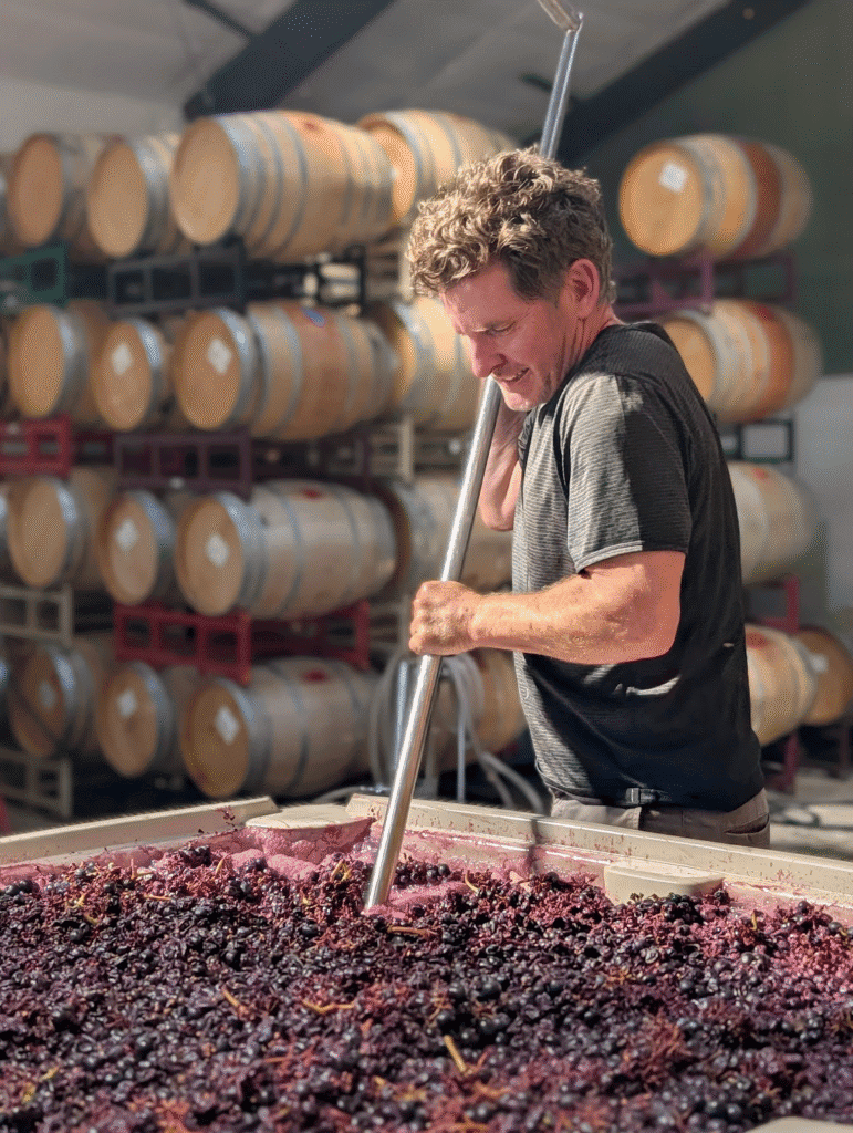 Spotlight Interview: Hawkins Cellars | Wine Scribes — Boutique Winery ...