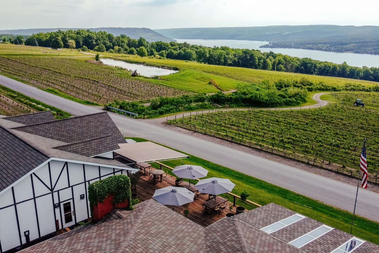 The Finger Lakes Wine Guide: Best Wineries, Itinerary & Expert Tips ...